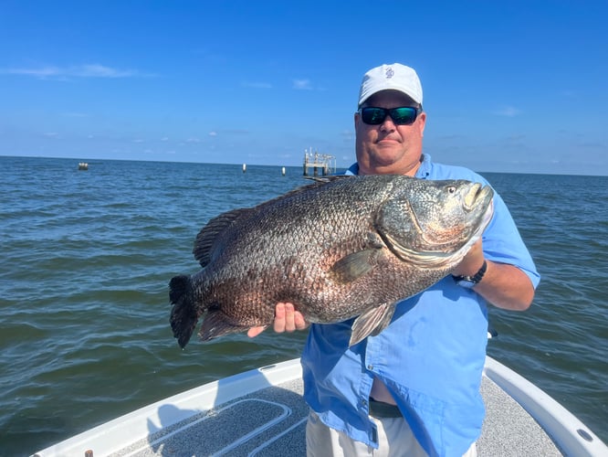 In Sight Charters in Buras, Louisiana: Captain Experiences