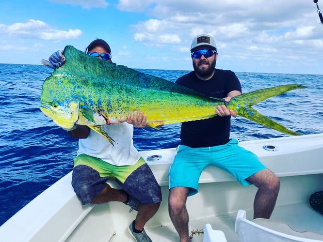 Wicked Cuda Sport Fishing with Captain Experiences