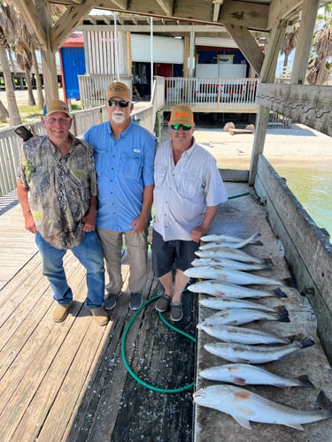 Port Aransas Inshore Fishing In Port Aransas