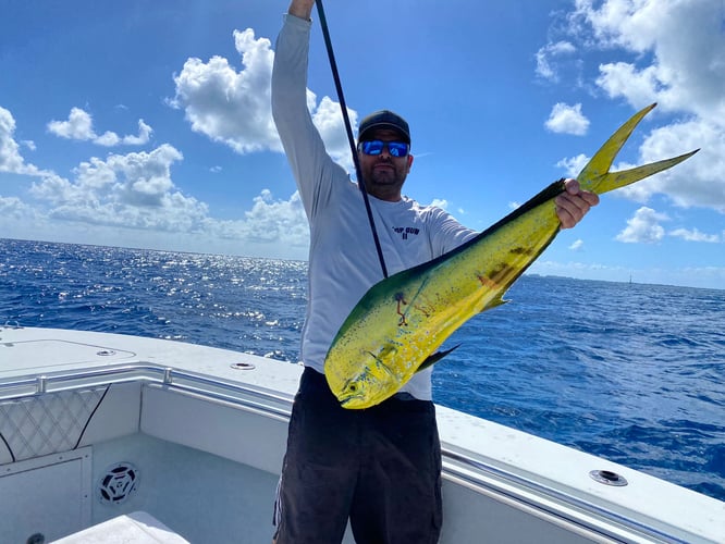 Reel Insanity Fishing with Captain Experiences