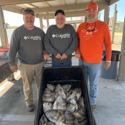 Salty Marsh Charters in Boothville-Venice, Louisiana: Captain Experiences
