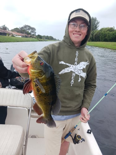 Matt's Fishing Adventures with Captain Experiences