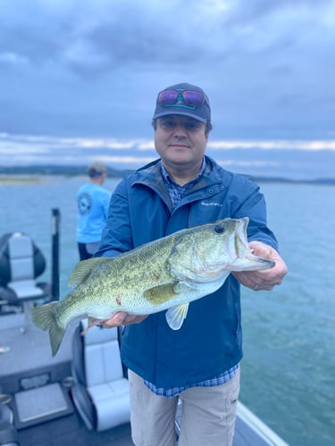 Lake Travis Fishing Guide in Austin, Texas: Captain Experiences