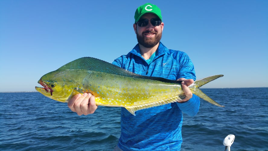 Offshore "Catch Fish Guarantee" In Pensacola