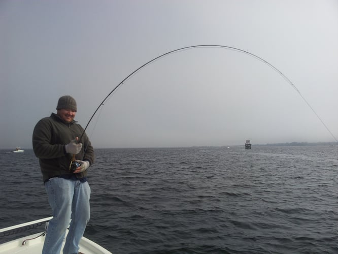 Offshore "Catch Fish Guarantee" In Pensacola