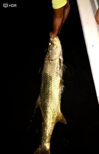 Cast out fishing charters with Captain Experiences