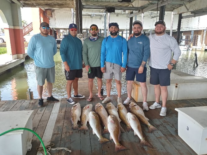 Halfday AM 33’ Contender: Deep Sea In Freeport