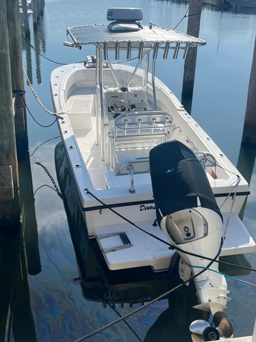 Domestic Six Pack Charters in Miami, Florida: Captain Experiences