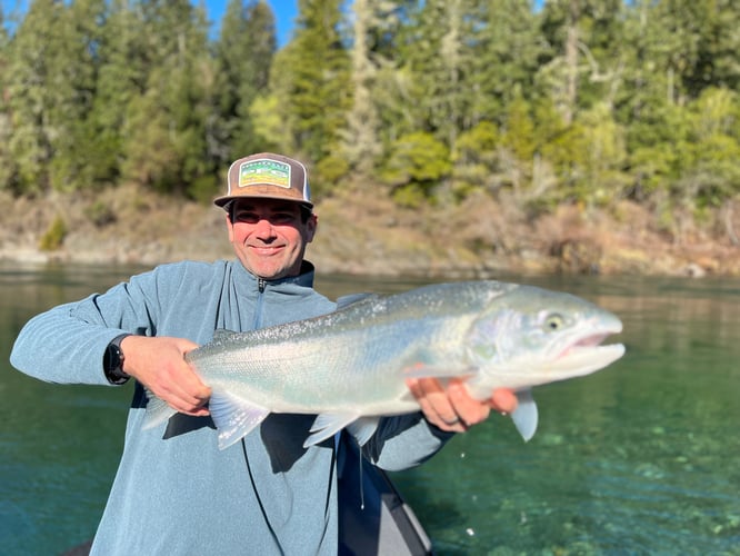 Spring Run Chinook In Gold Beach