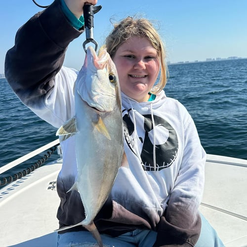 Offshore Reefs And Pelagics In Panama City