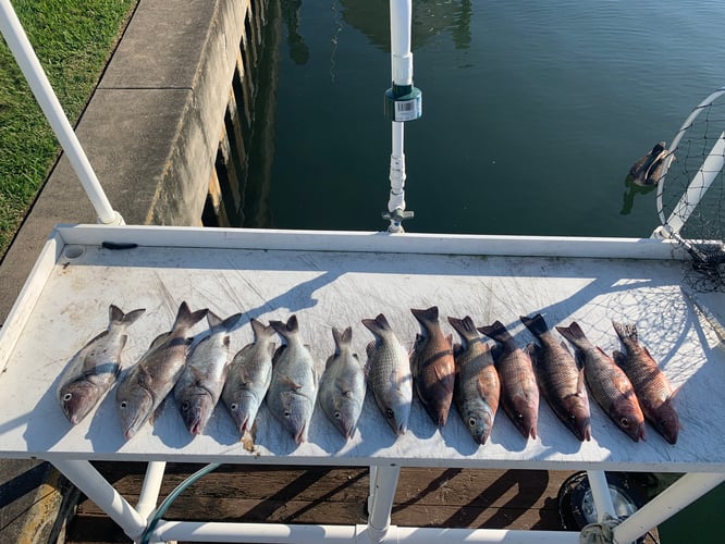 Captain Pat’s Charters with Captain Experiences