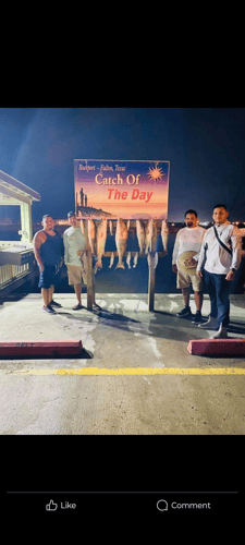 Redhead Fishing Guide Service with Captain Experiences