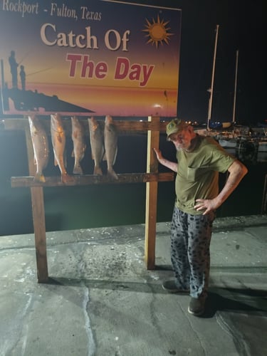 Redhead Fishing Guide Service with Captain Experiences