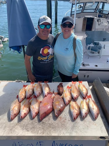 Bottom Fishing And Trolling In Clearwater