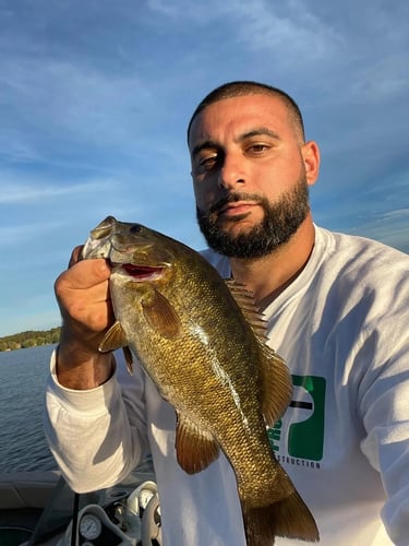 Niagara Fishing Fin-Addicts with Captain Experiences