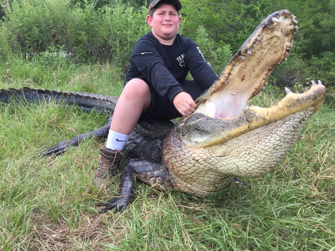 Alligator hunting in florida with Captain Experiences