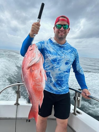 Orange Beach Red Snapper Slam In Orange Beach