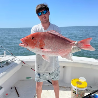 Best Red Snapper Fishing - Gulf Shores In Gulf Shores