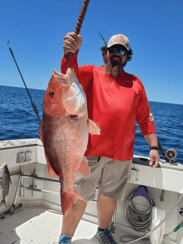 Destin Red Snapper Slam - AM In Destin