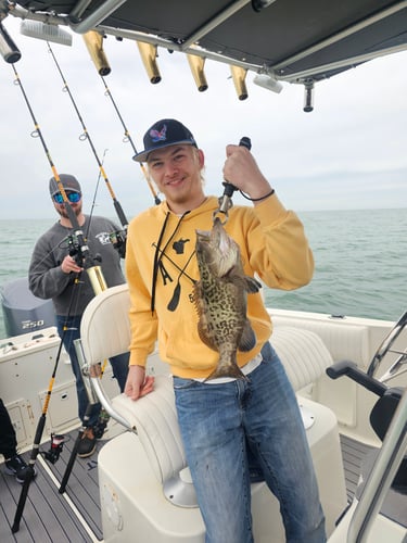 Mow Fish Charter in Belleair Bluffs, Florida: Captain Experiences