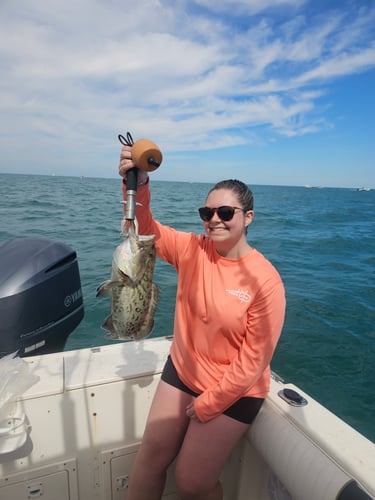 Mow Fish Charter in Belleair Bluffs, Florida: Captain Experiences