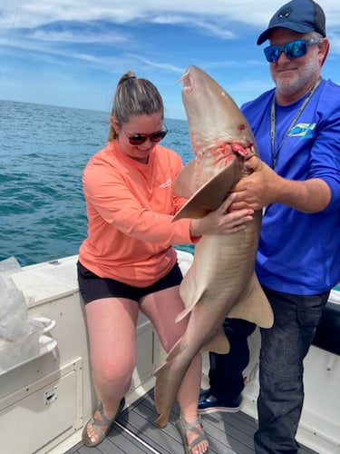 Mow Fish Charter in Belleair Bluffs, Florida: Captain Experiences