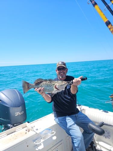 Mow Fish Charter in Belleair Bluffs, Florida: Captain Experiences