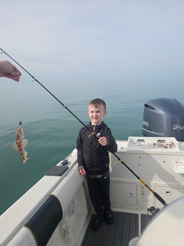 Mow Fish Charter in Belleair Bluffs, Florida: Captain Experiences