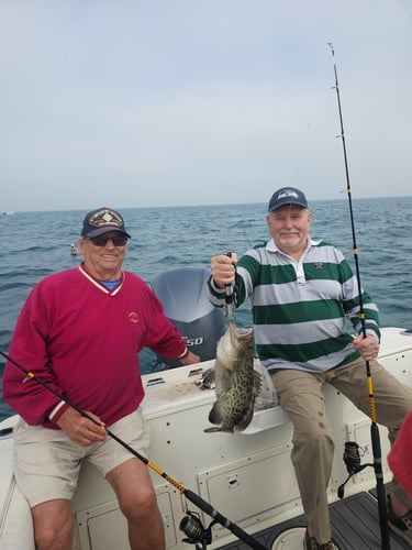 Mow Fish Charter in Belleair Bluffs, Florida: Captain Experiences