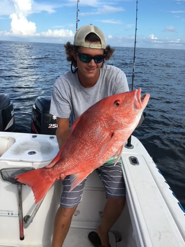 Federally Permitted Red Snapper Trip In Galveston