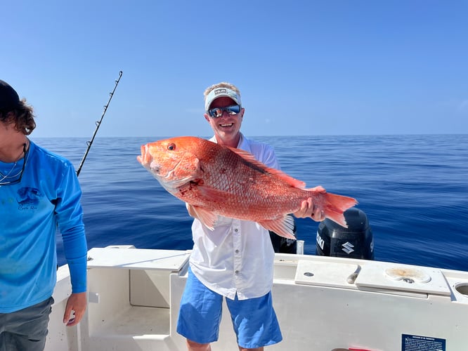 Federally Permitted Red Snapper Trip In Galveston
