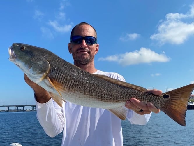 Fish Ami with Captain Experiences