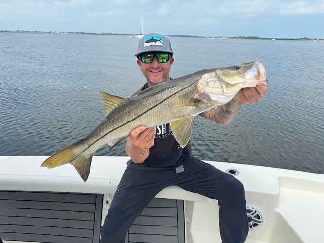 Fish Ami with Captain Experiences