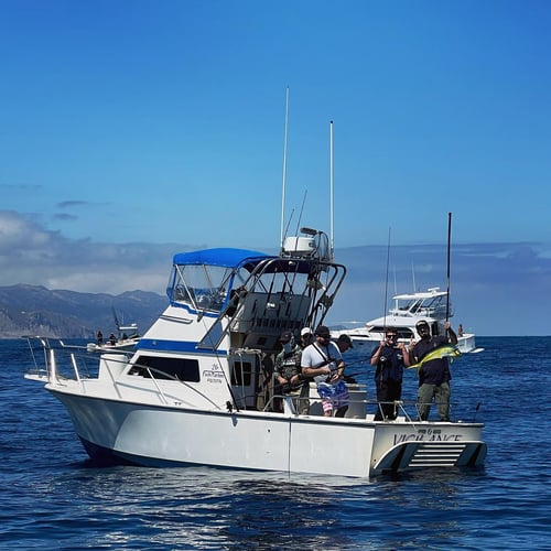 Mystic Queen Sportfishing with Captain Experiences