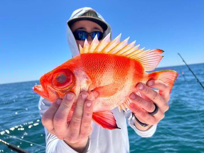 Redwater Guide Company with Captain Experiences