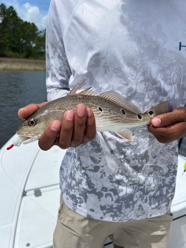Redwater Guide Company with Captain Experiences