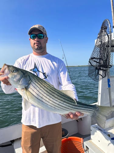 Anna Maria charters with Captain Experiences