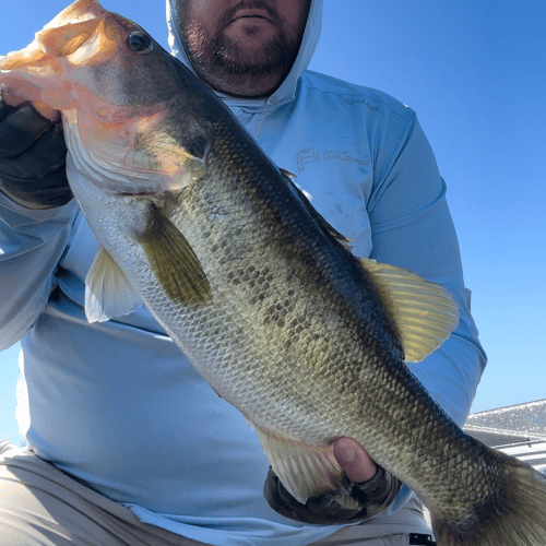 Jay Bonner Lake Fork Guide Service with Captain Experiences