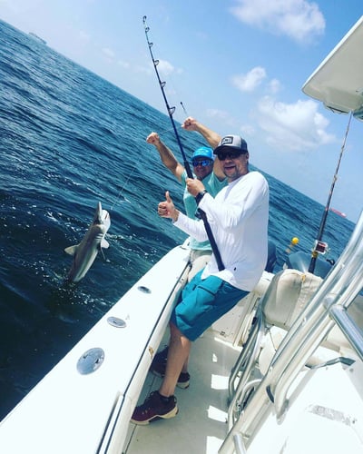 Galveston Fish Commander with Captain Experiences