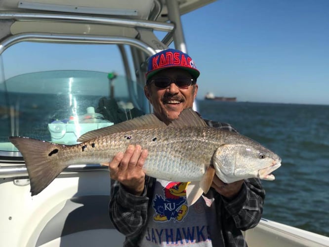 Galveston Fish Commander with Captain Experiences