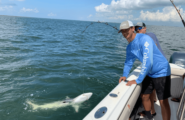Galveston Fish Commander with Captain Experiences