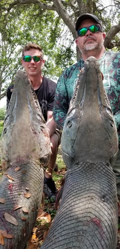 Big Fish Bowfishing Texas in Houston, Texas: Captain Experiences