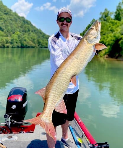 Tennessee Musky Guide in Knoxville, Tennessee: Captain Experiences