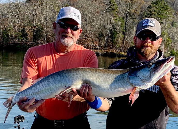Tennessee Musky Guide with Captain Experiences
