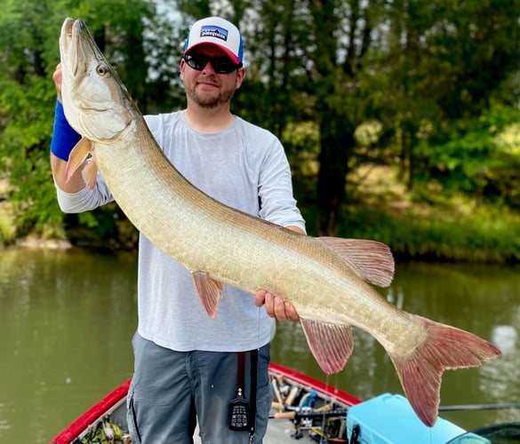 Tennessee Musky Guide with Captain Experiences