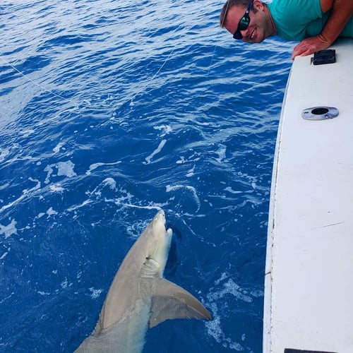 Wreck & Reef Fishing - 29’ Sea Vee In Key West