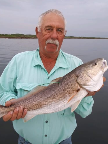 Kingfish Adventures in Corpus Christi, Texas: Captain Experiences