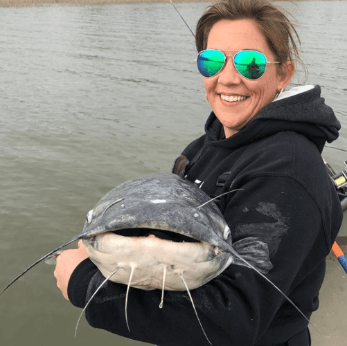 Garzilla Guide Service with Captain Experiences