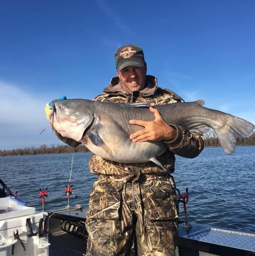 Garzilla Guide Service with Captain Experiences