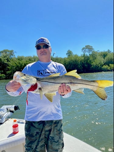 Yellow Tales Fishing Charters in Bokeelia, Florida: Captain Experiences